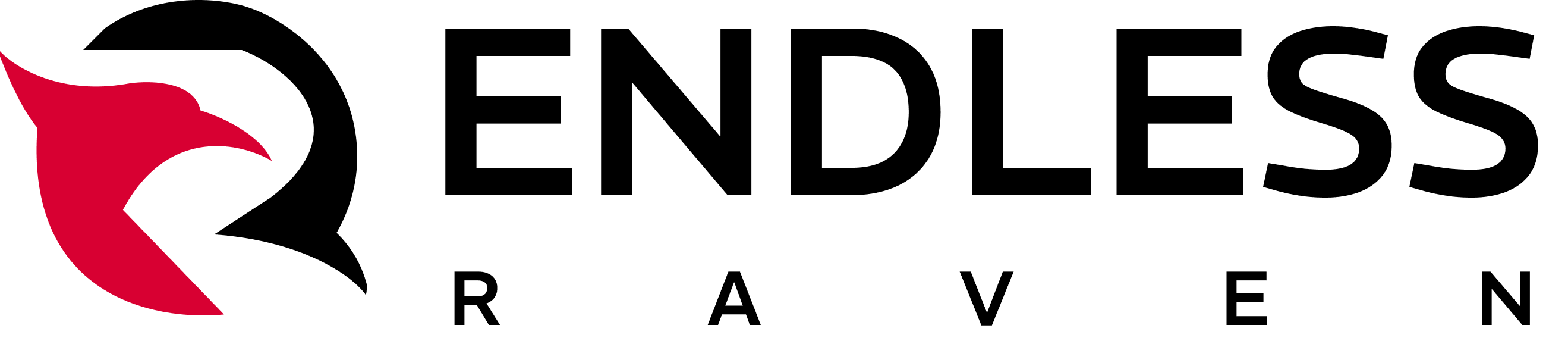 Endless Raven Software Solutions